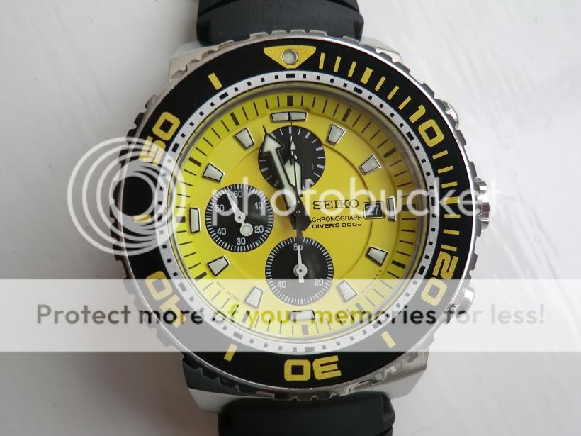 SNDA15 Yellow Caesar arrives | The Watch Site