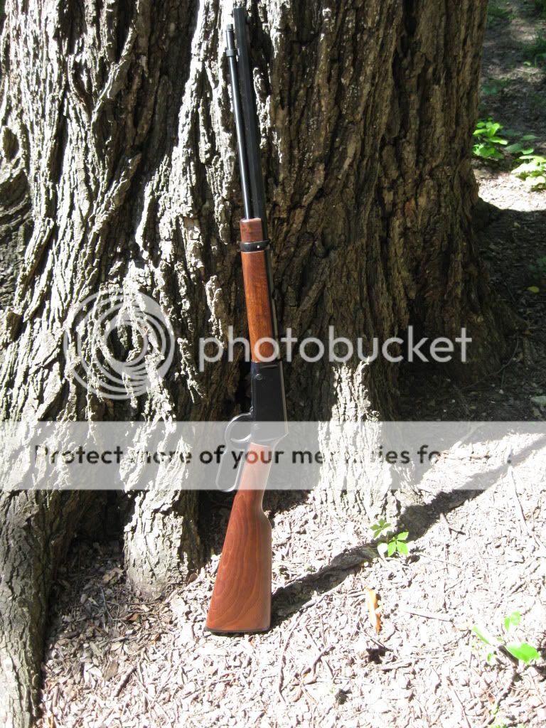 Henry Stocks | Rimfire Central Firearm Forum