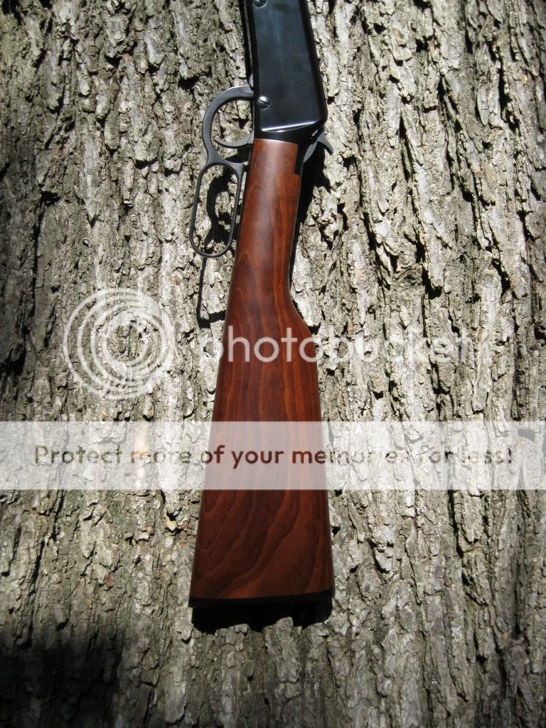 Henry Stocks | Rimfire Central Firearm Forum