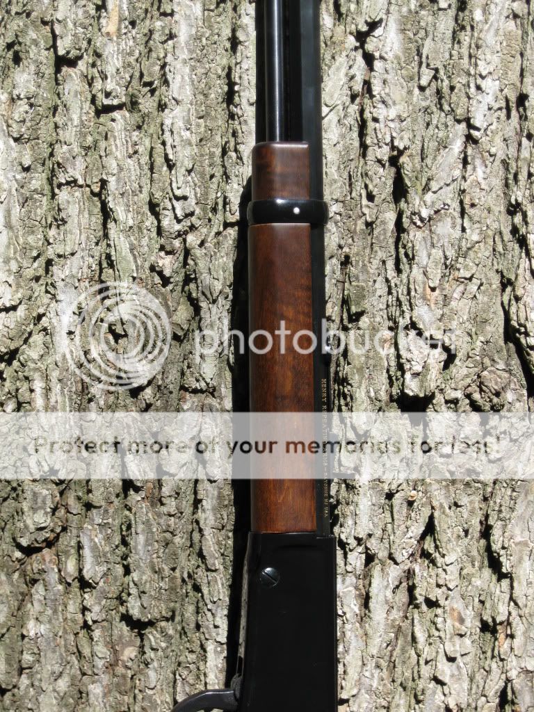 Henry Stocks | Rimfire Central Firearm Forum