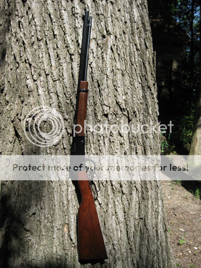 Henry Stocks | Rimfire Central Firearm Forum